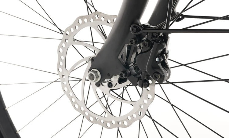 Rivena Move Elektrische Damesfiets | 1299,- Euro | Fietsenplaats.nl